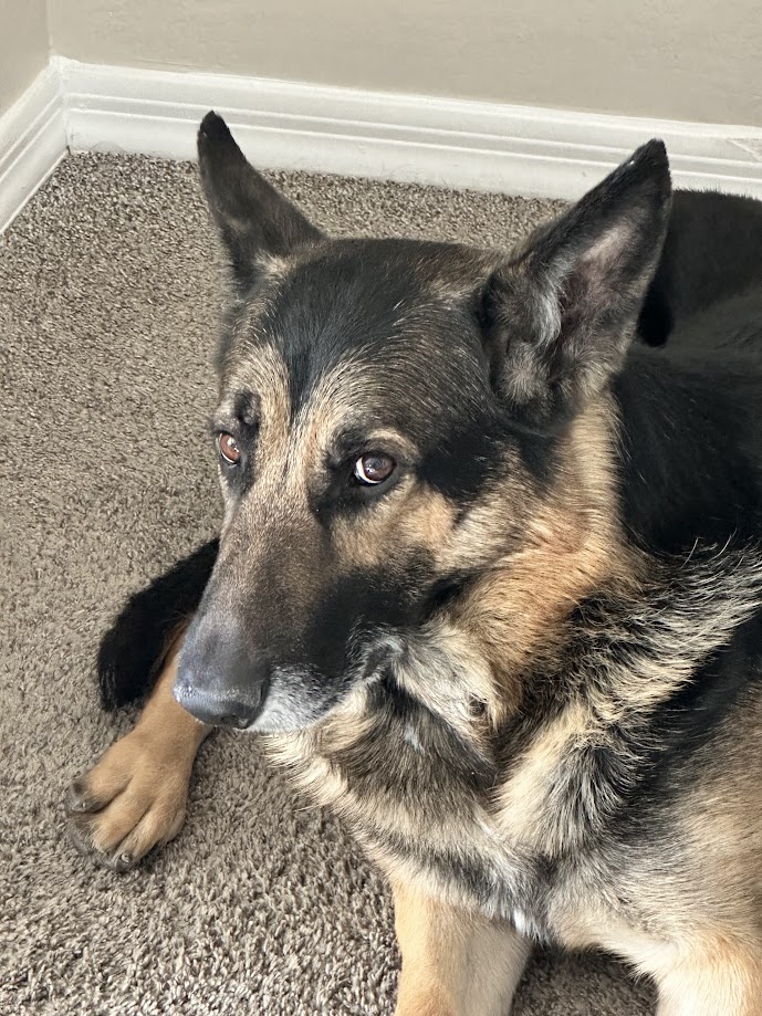 2025 January Update – Real McCoy Books